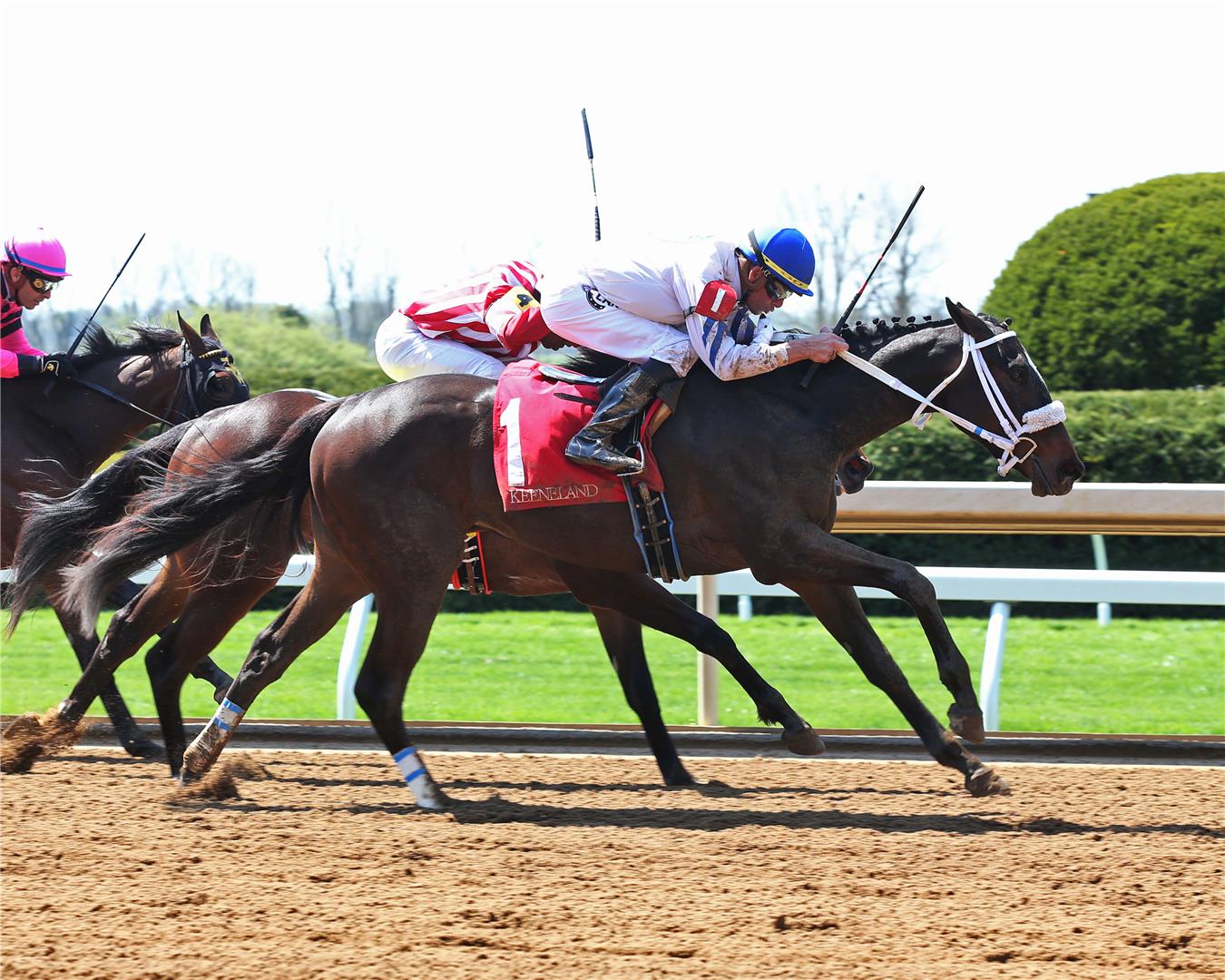 Flat Out sires first winner from first starter at Keeneland ...