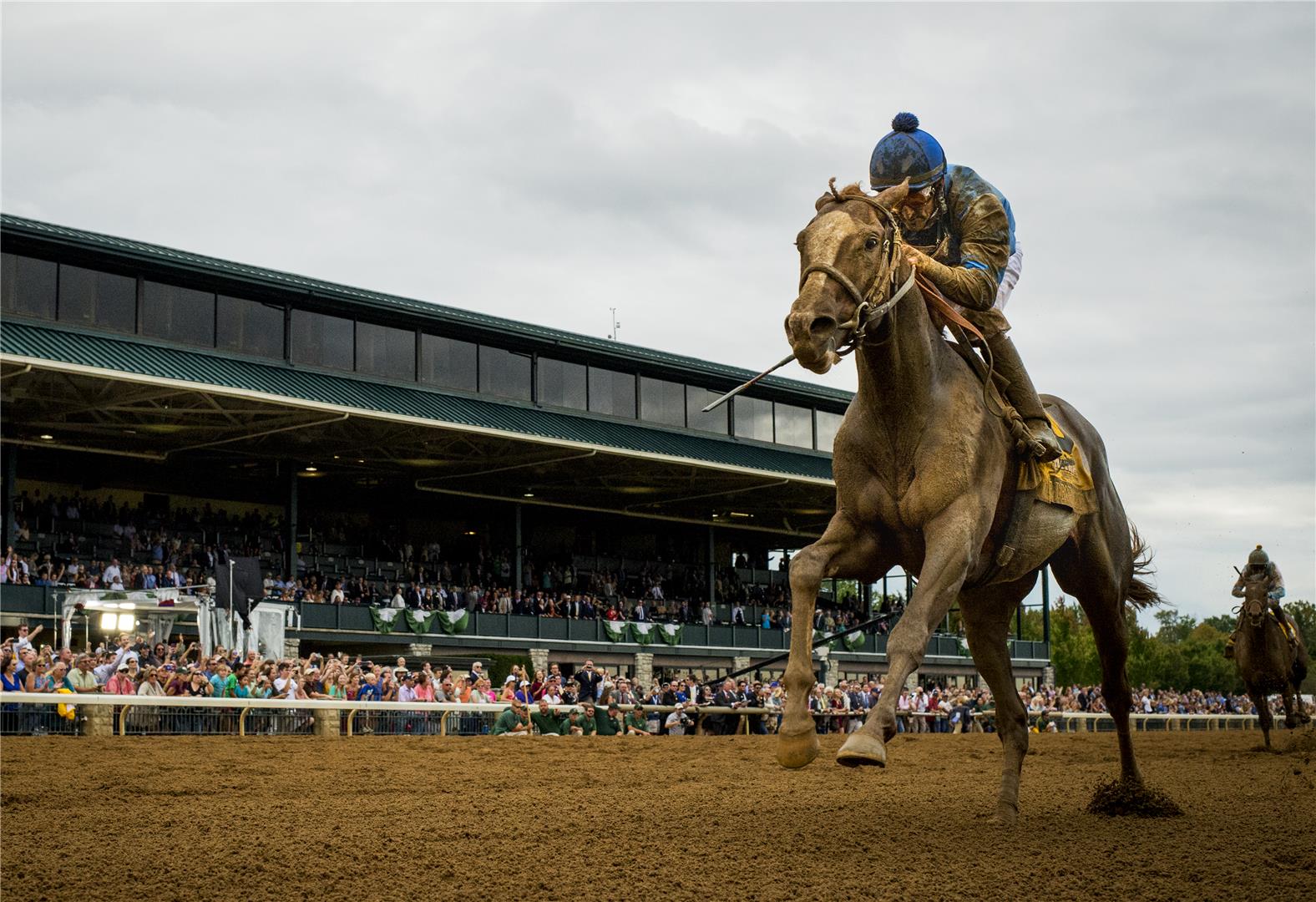 Free Drop Billy, G1-winning 2-year-old by Union Rags, retires to ...