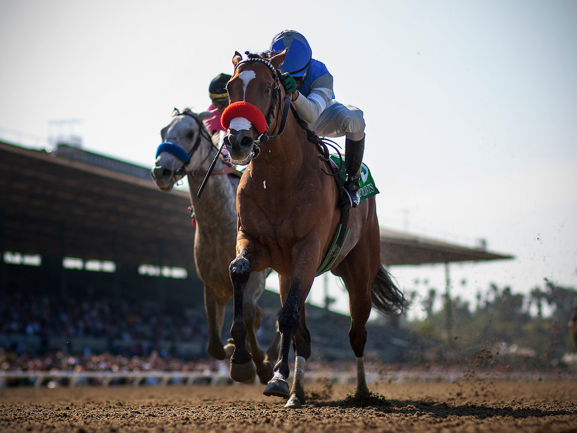 Into Mischief - Thoroughbred Stallion at Spendthrift Farm, KY