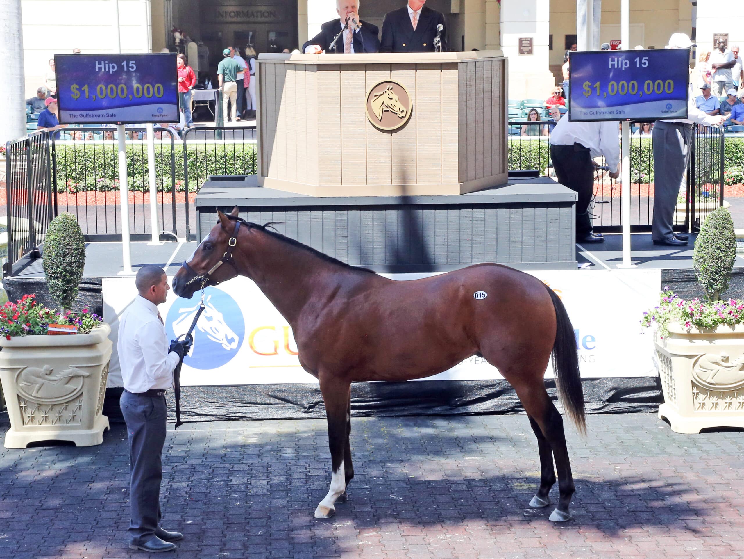 Into Mischief - Thoroughbred Stallion at Spendthrift Farm, KY