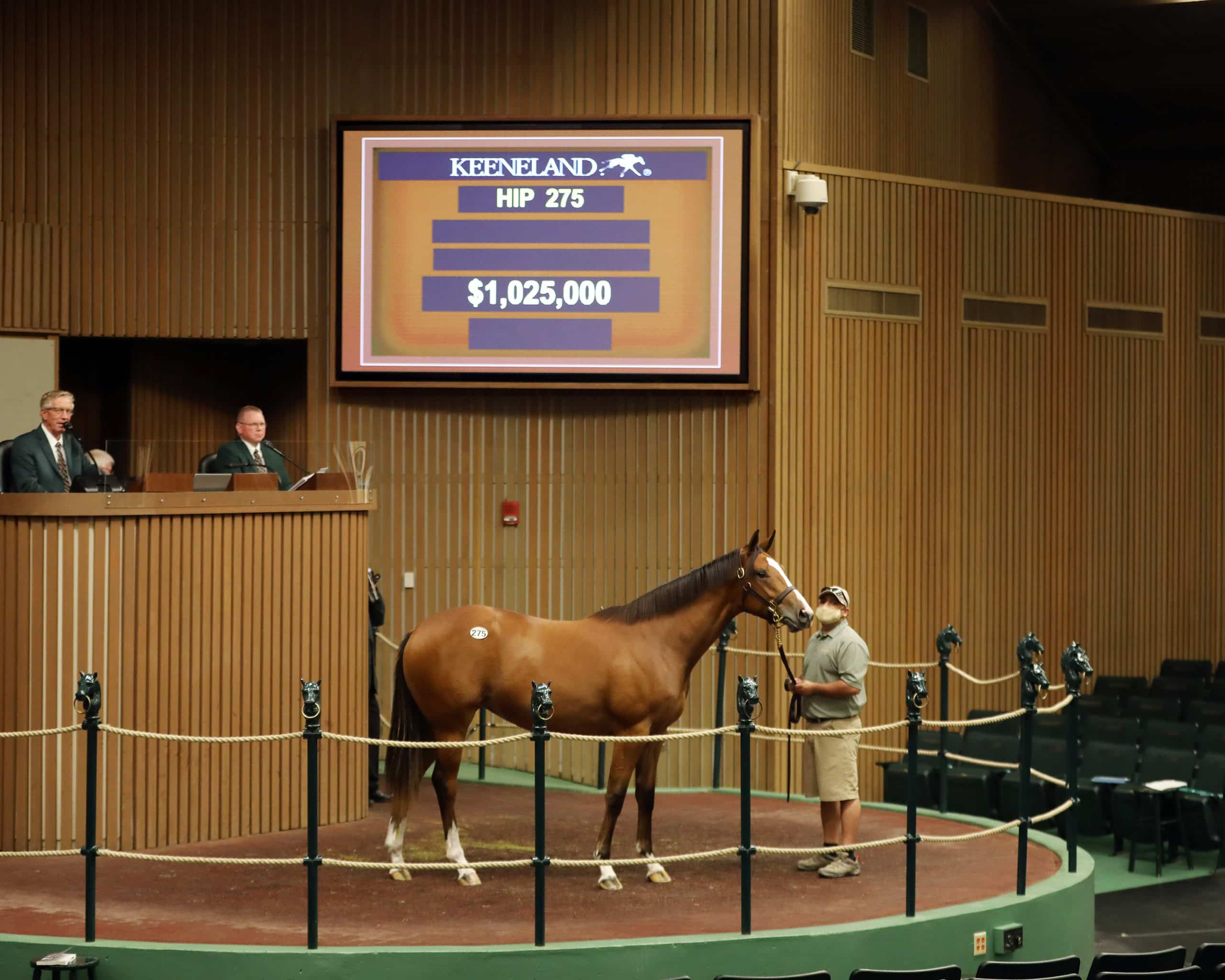 Into Mischief - Thoroughbred Stallion at Spendthrift Farm, KY