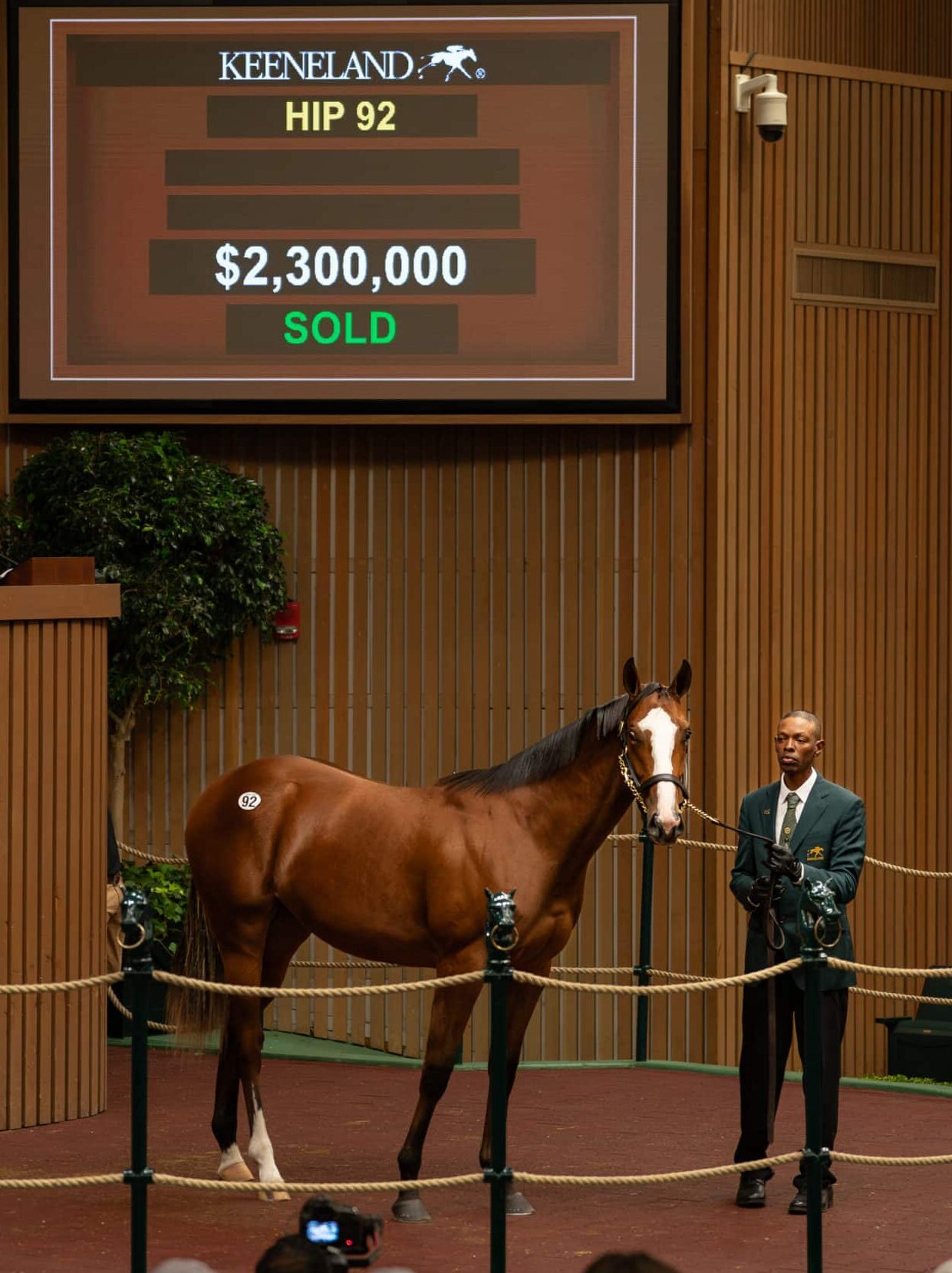 Into Mischief - Thoroughbred Stallion at Spendthrift Farm, KY