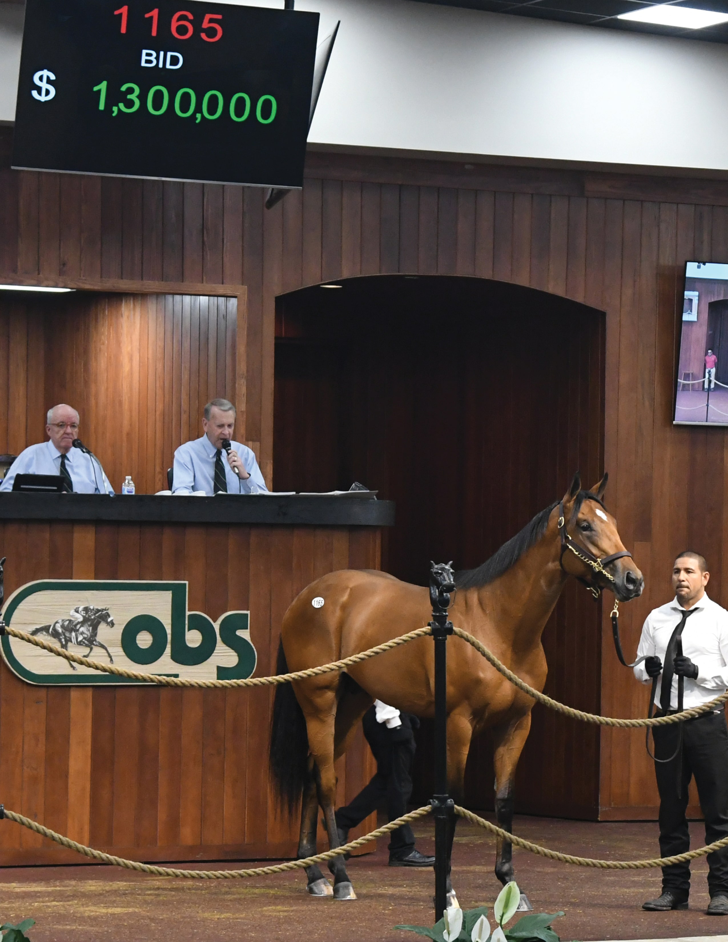 Into Mischief - Thoroughbred Stallion at Spendthrift Farm, KY