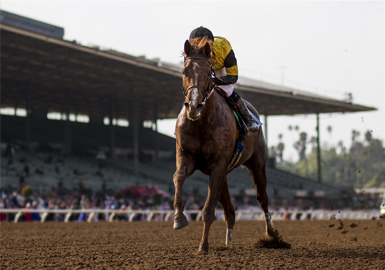Kanthaka dominates San Vicente (G2) to become Jimmy Creed's newest GSW ...