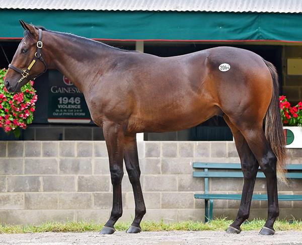 Keeneland Monday: Wicked Strong colt tagged for $140K - Spendthrift - A ...