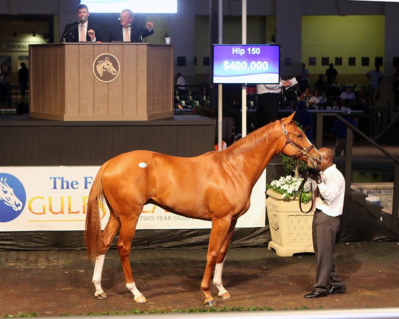 Top Flat Out colt brings $400K at FT Gulfstream sale - Spendthrift - A ...