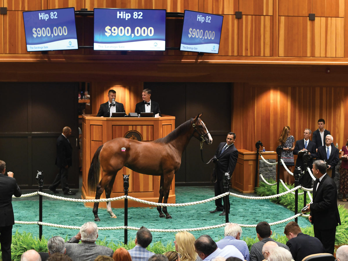 Into Mischief - Thoroughbred Stallion at Spendthrift Farm, KY