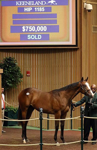 $750K colt anchors big Saturday for Into Mischief - Spendthrift - A ...
