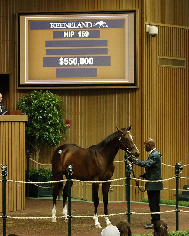 Keeneland September Day 1 wrap: Into Mischief - Spendthrift - A ...