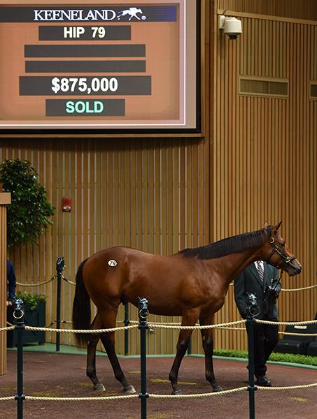 Terrific Keeneland September start for Into Mischief - Spendthrift - A ...