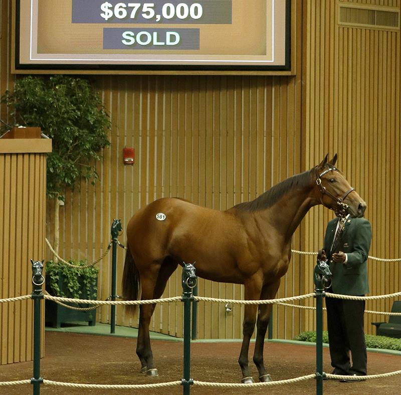 $675K filly a new high for Malibu Moon at Keeneland - Spendthrift - A ...