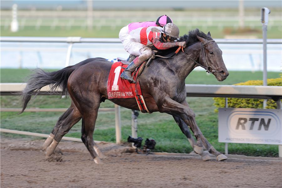 Malibu Moon colt launches into 'Orb'-it with Fountain of Youth (G2) win ...