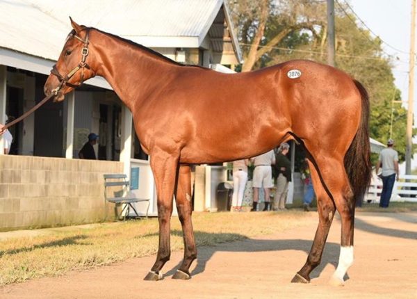 Race Day colt highlights Thursday at Keeneland - Spendthrift - A ...