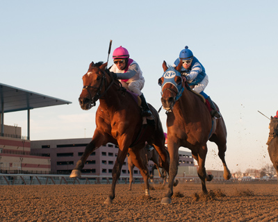 Vyjack gives Into Mischief another graded stakes winner - Spendthrift ...