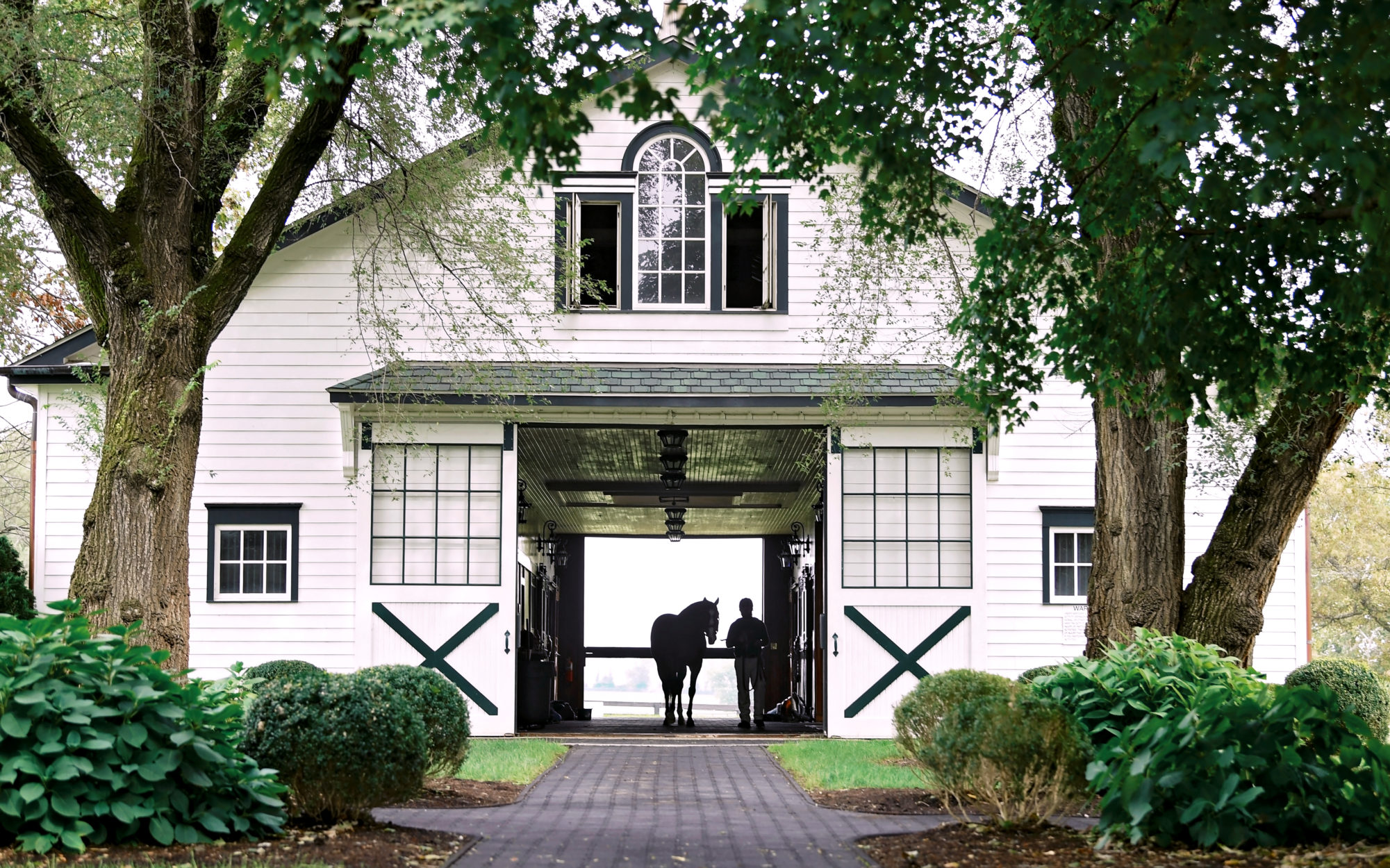 Contact - Spendthrift - A Kentucky Thoroughbred Stallion Farm