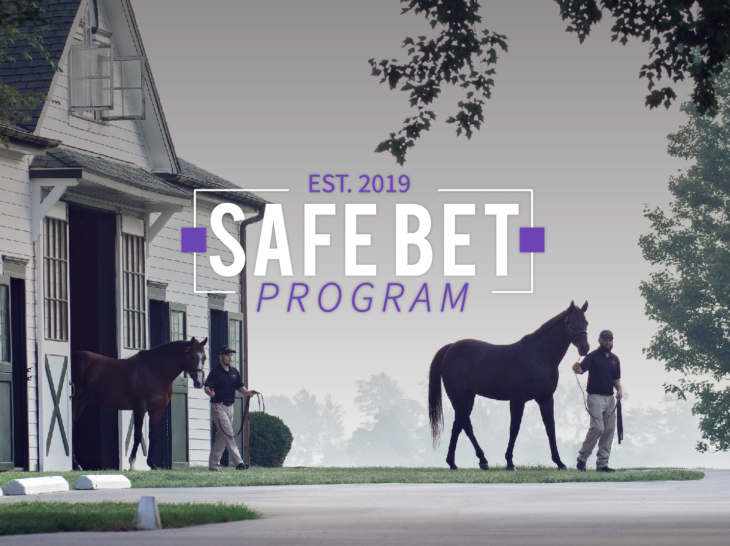Spendthrift launches “Safe Bet” program for breeders - Spendthrift - A ...