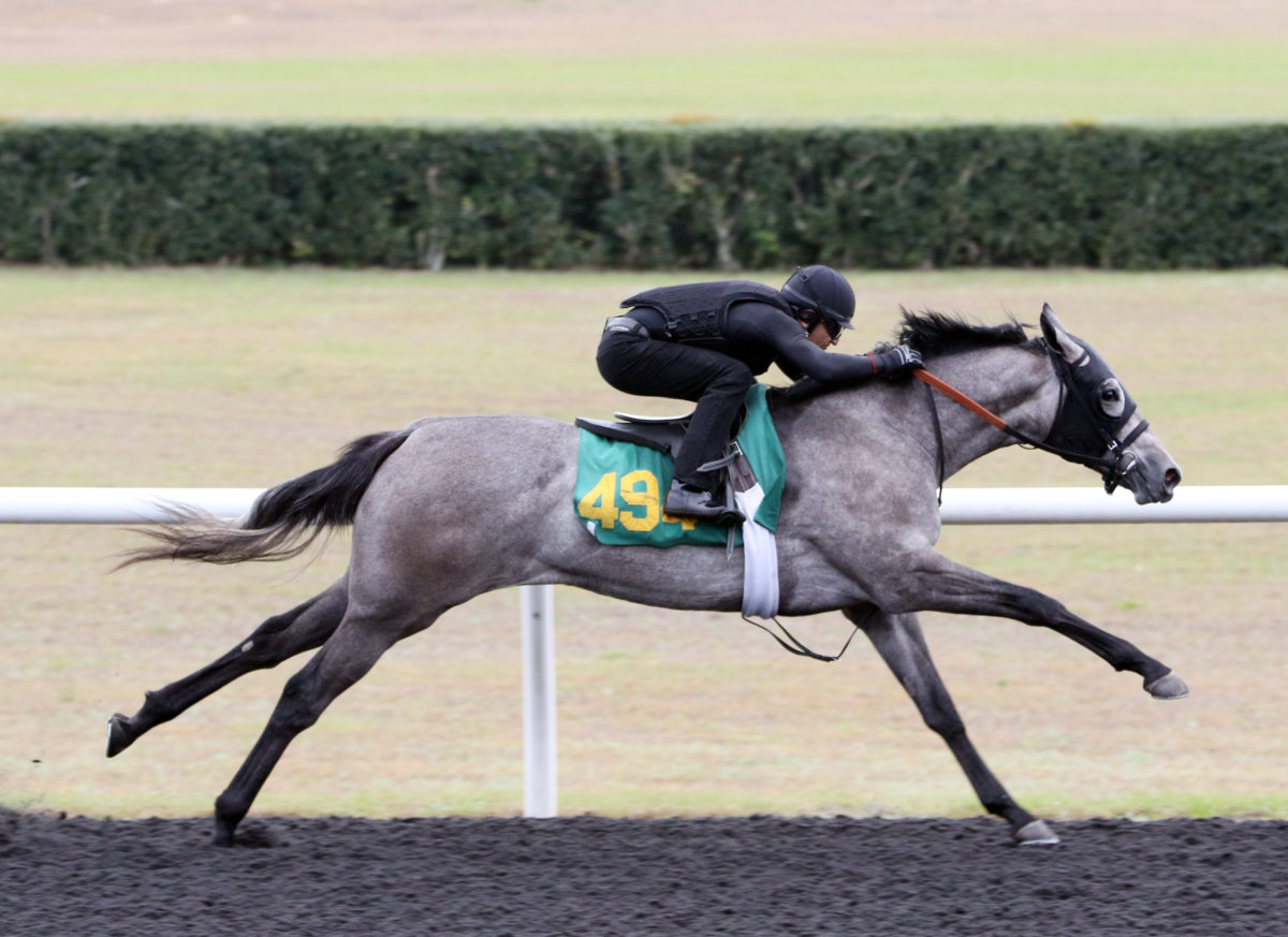 Outstanding results for Race Day as OBS March wraps up - Spendthrift ...