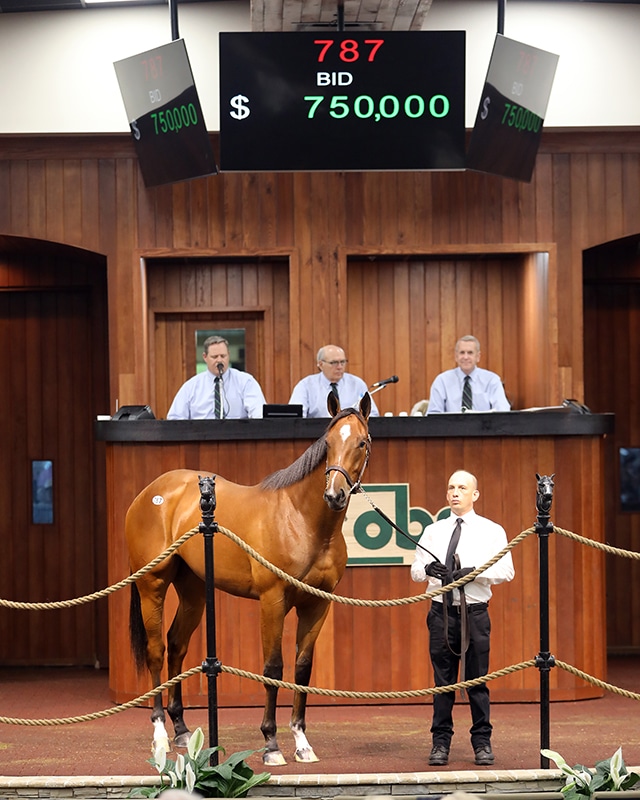 Into Mischief filly goes for $750,000 Thursday at OBS - Spendthrift - A ...