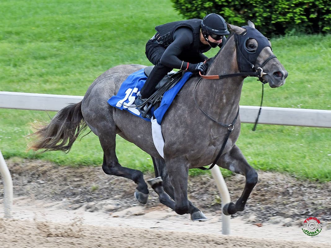 Race Day colt clocks co-fastest 10.1 furlong on Day 1 at Timonium ...