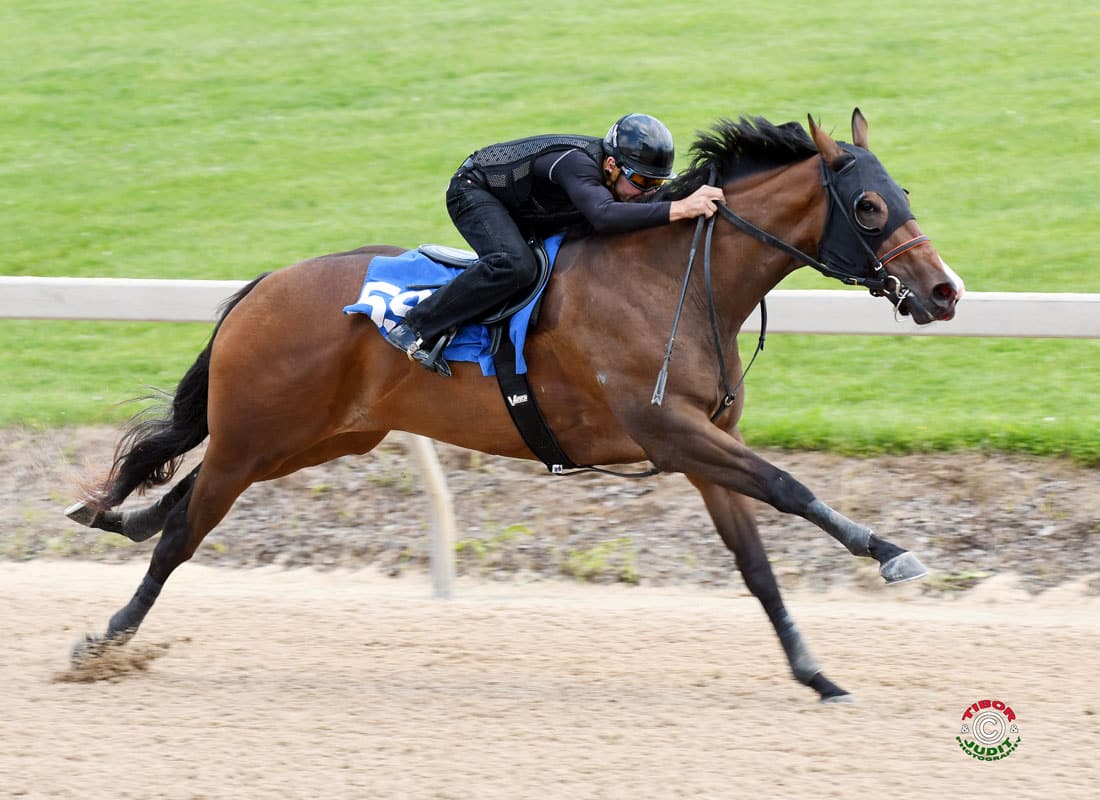 Wicked Strong filly zips a bullet in :10 flat at Fasig-Tipton Midlantic ...