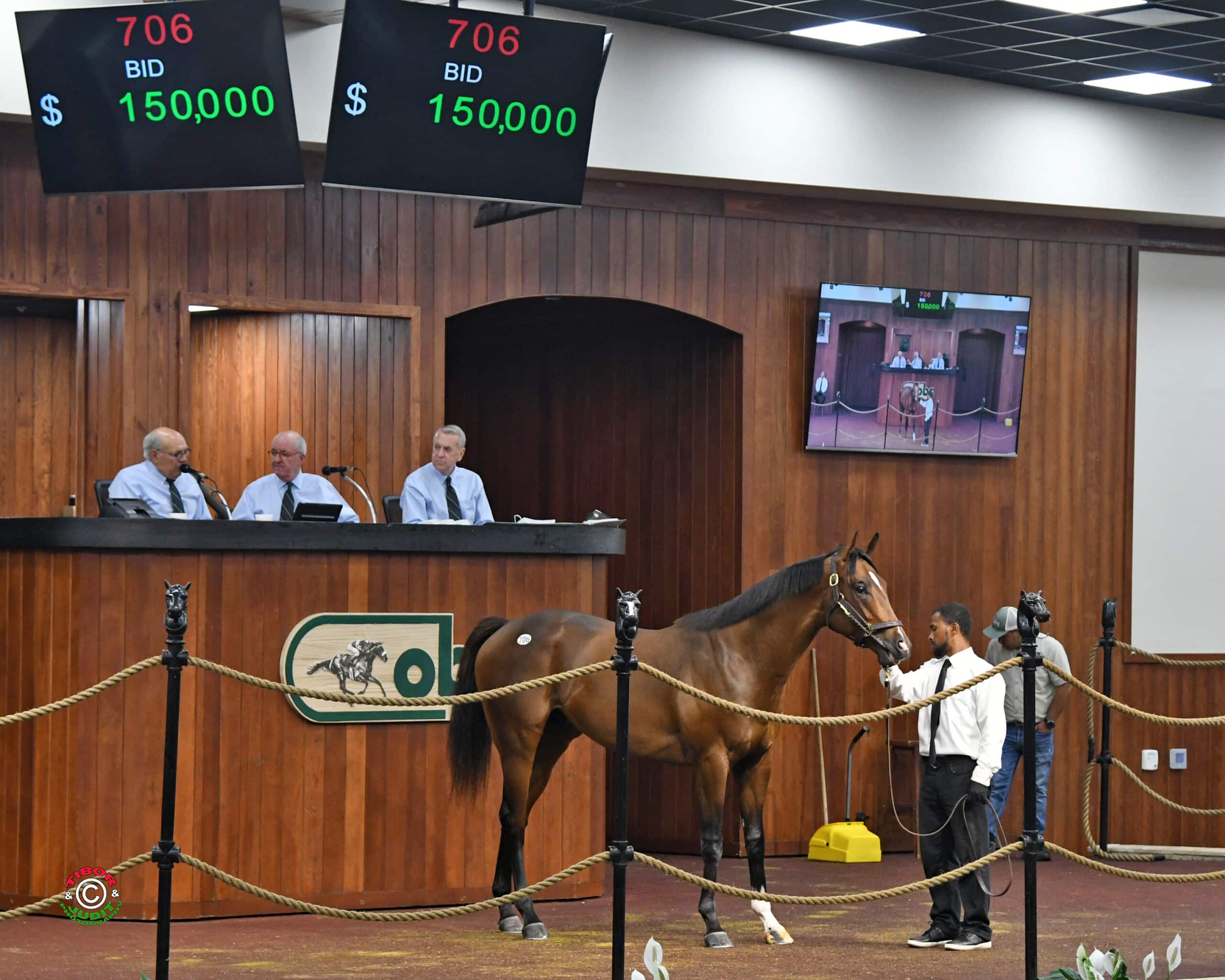 Another strong OBS June session for Race Day - Spendthrift - A Kentucky ...