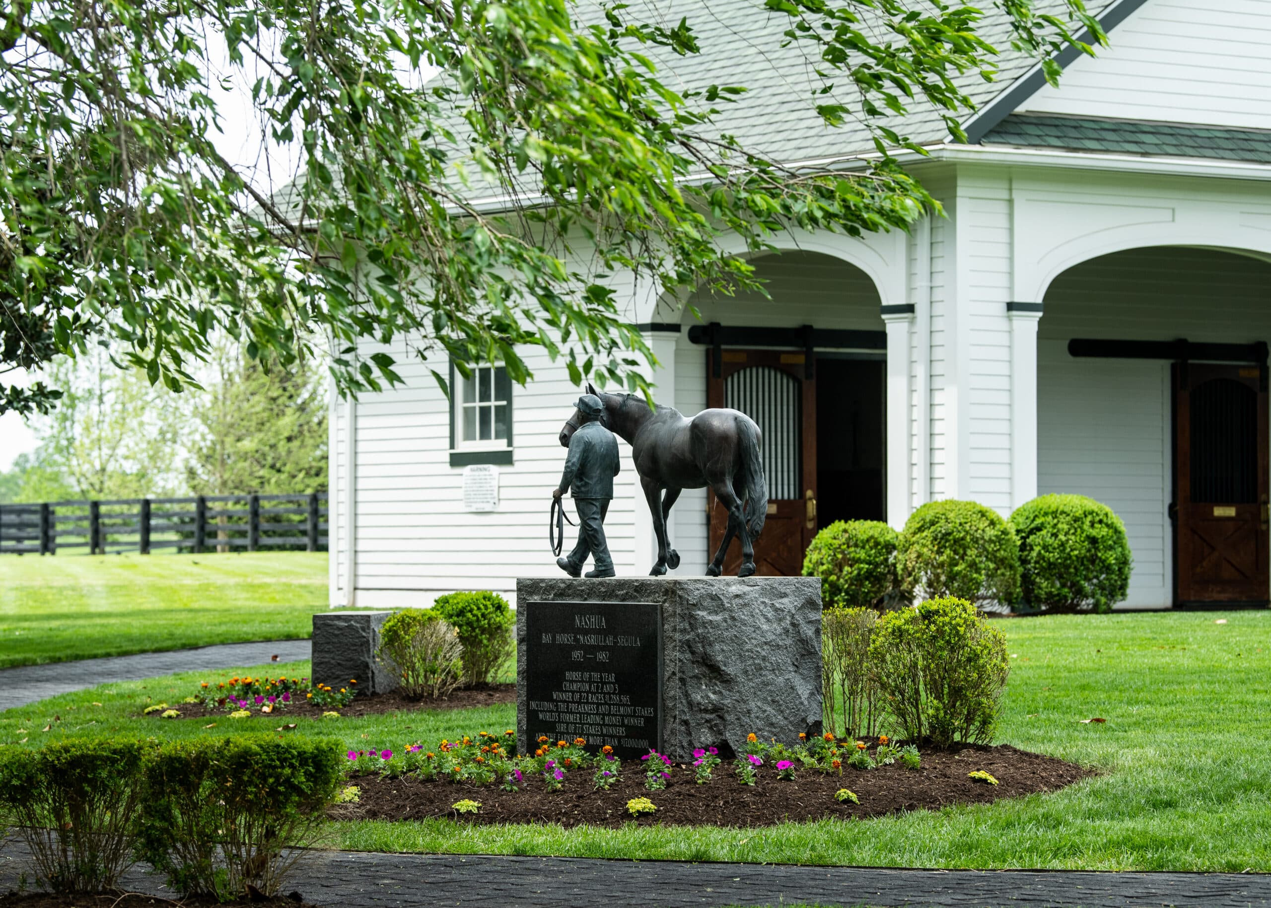 Home - Spendthrift - A Kentucky Thoroughbred Stallion Farm
