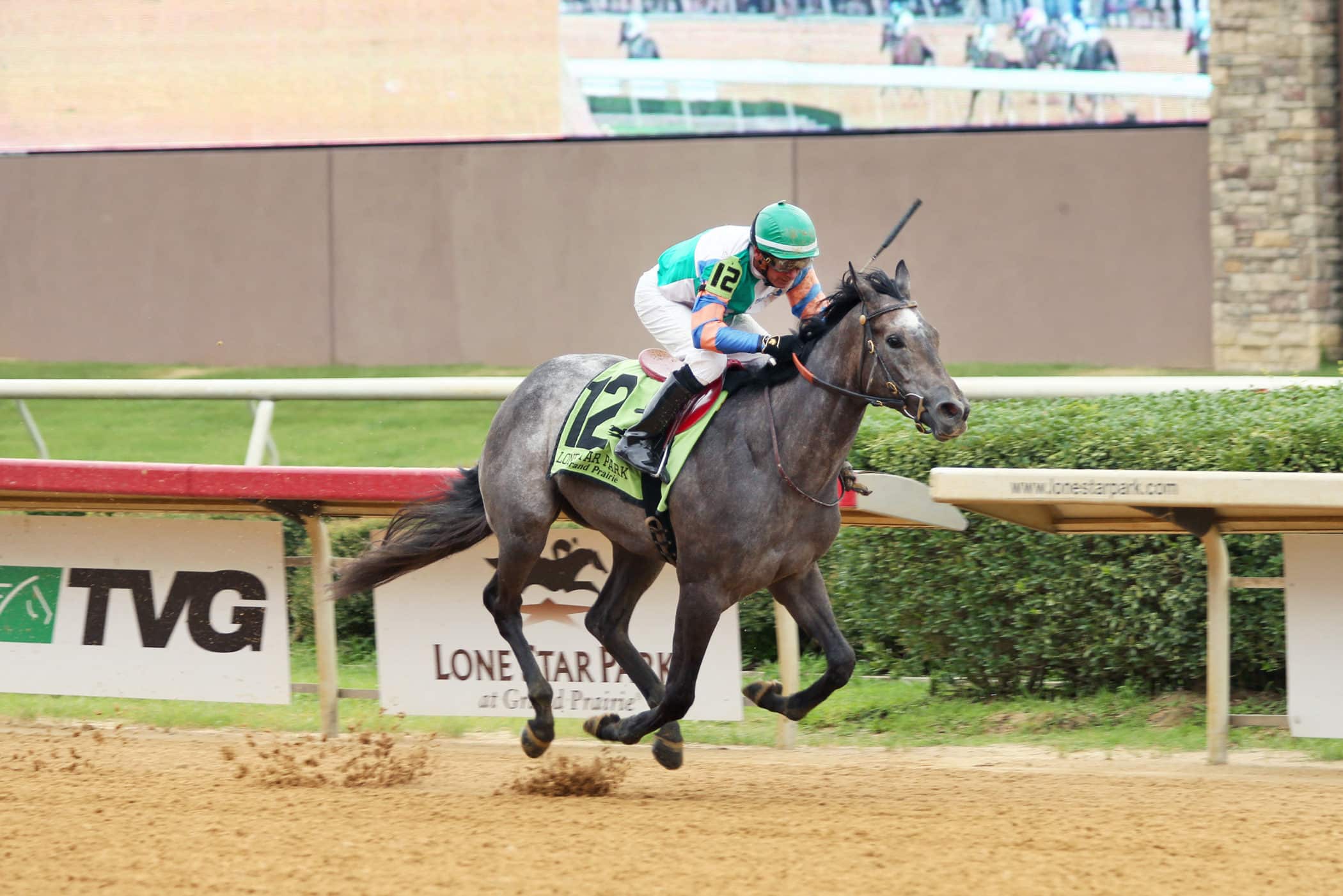 Gee She Sparkles first stakes winner for Race Day - Spendthrift - A ...