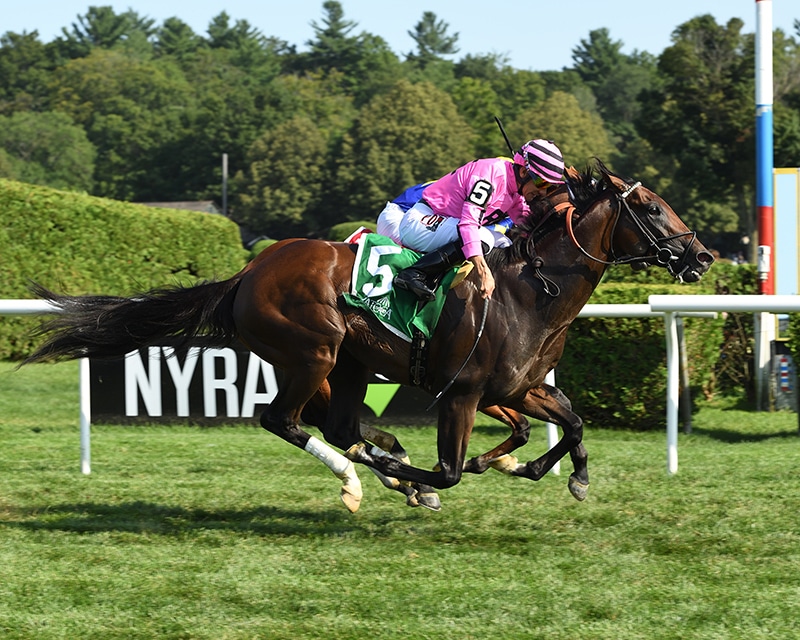 Game Casa Creed prevails in Racing Hall of Fame S. (G2) - Spendthrift ...