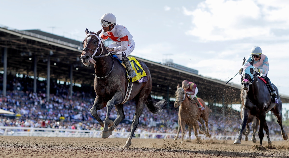Mitole brings home Eclipse Award for top Male Sprinter - Spendthrift ...