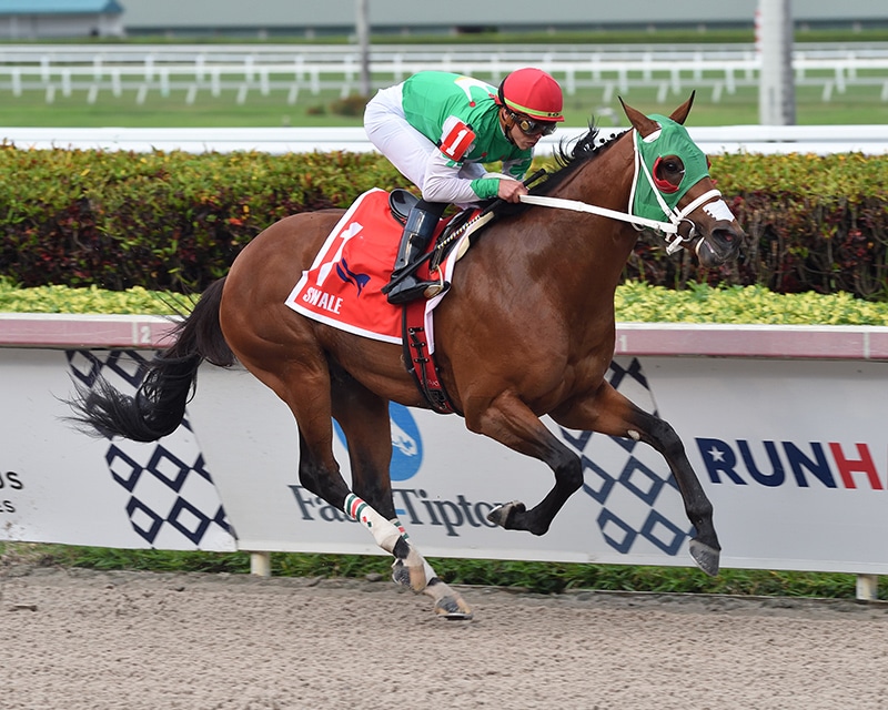 Mischevious Alex tops banner day for Into Mischief - Spendthrift - A ...