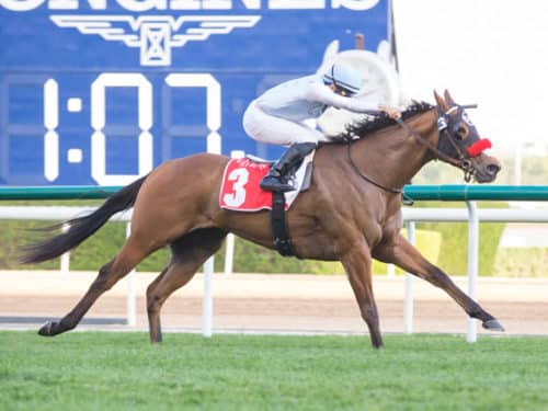 Wildman Jack sets track record in Nad al Sheba Turf Sprint (G3 ...