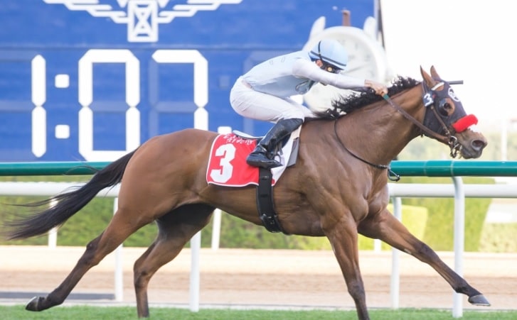 Wildman Jack sets track record in Nad al Sheba Turf Sprint (G3 ...