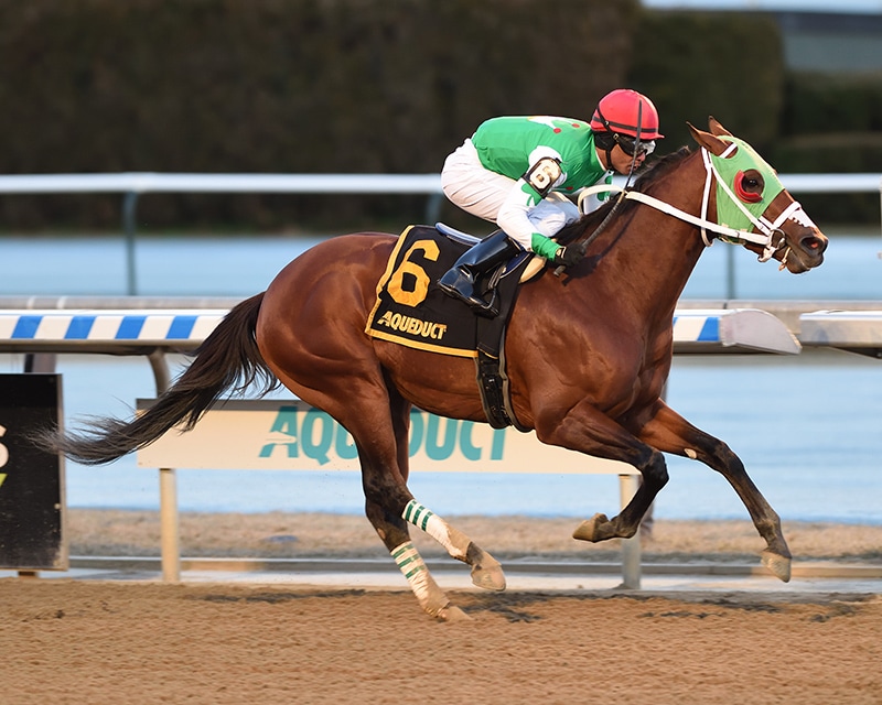 Mischevious Alex kicks off fantastic day for Into Mischief ...