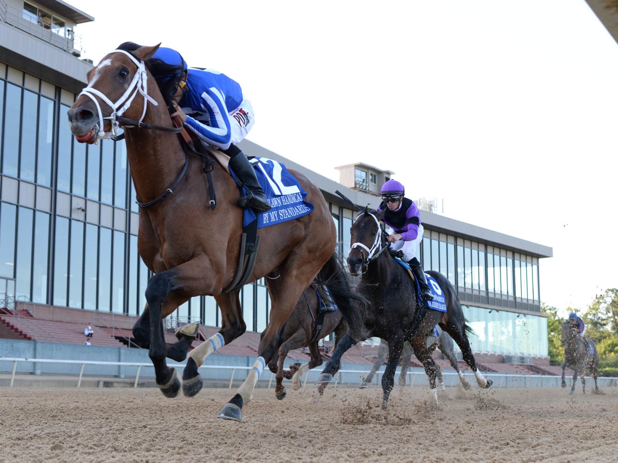 Goldencents - Thoroughbred Stallion at Spendthrift Farm, KY