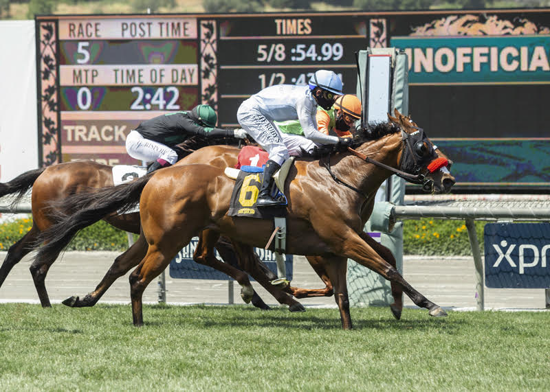 Goldencents' Wildman Jack sets record in thrilling Daytona S. (G3 ...