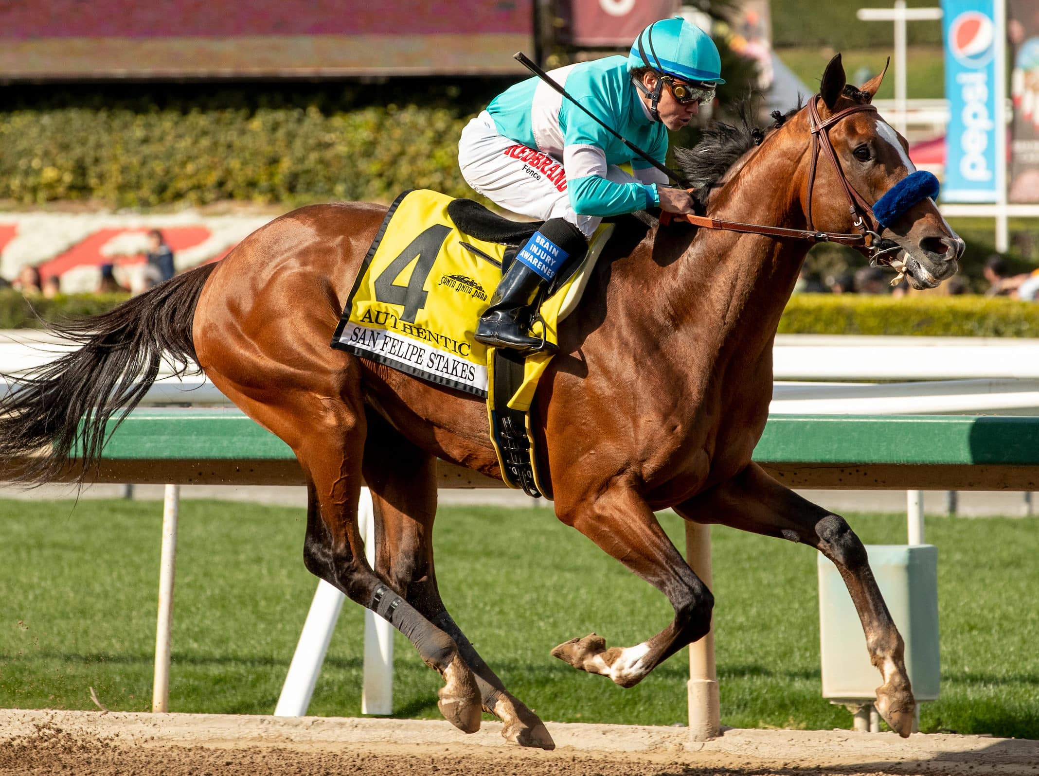 Spendthrift acquires majority interest in undefeated SA Derby-G1 ...