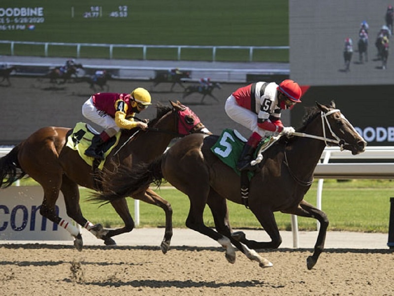 First winner for Brody's Cause sharp in Woodbine MdSpWt victory ...