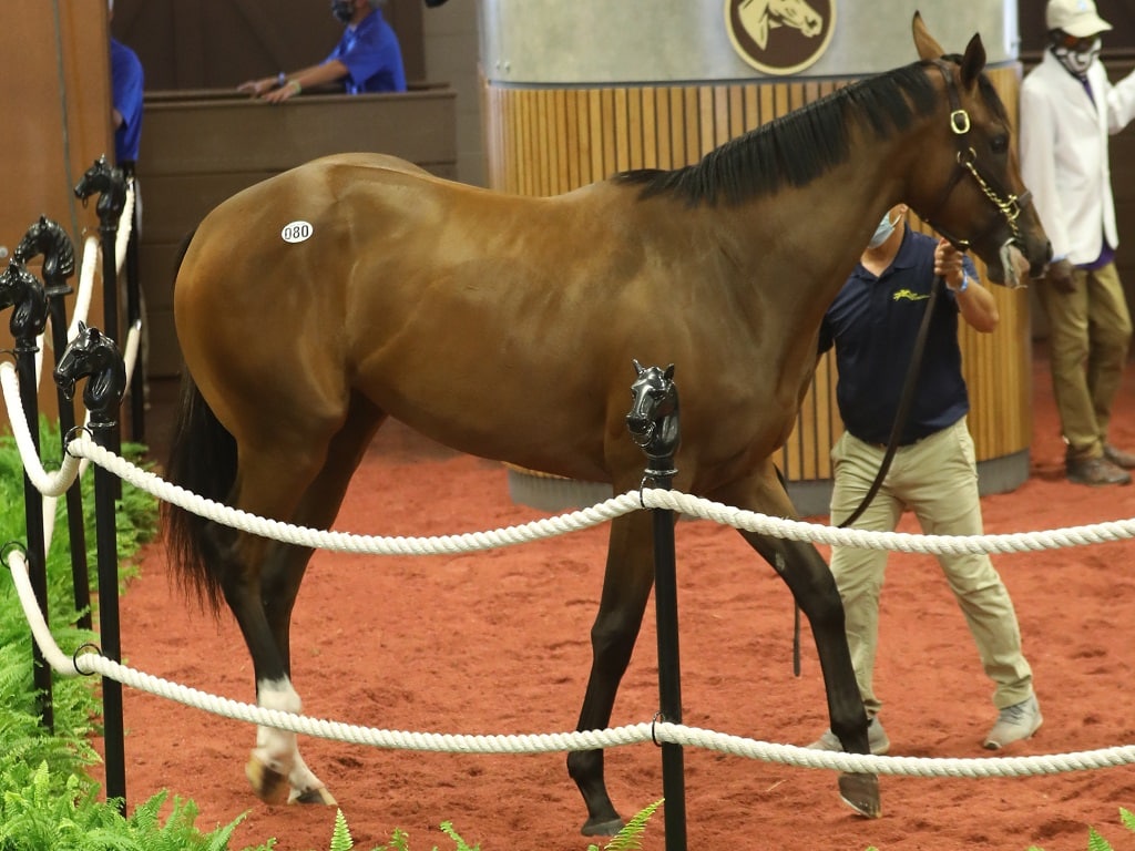 Cinco Charlie filly hammers for $200,000 at F-T Midlantic - Spendthrift ...