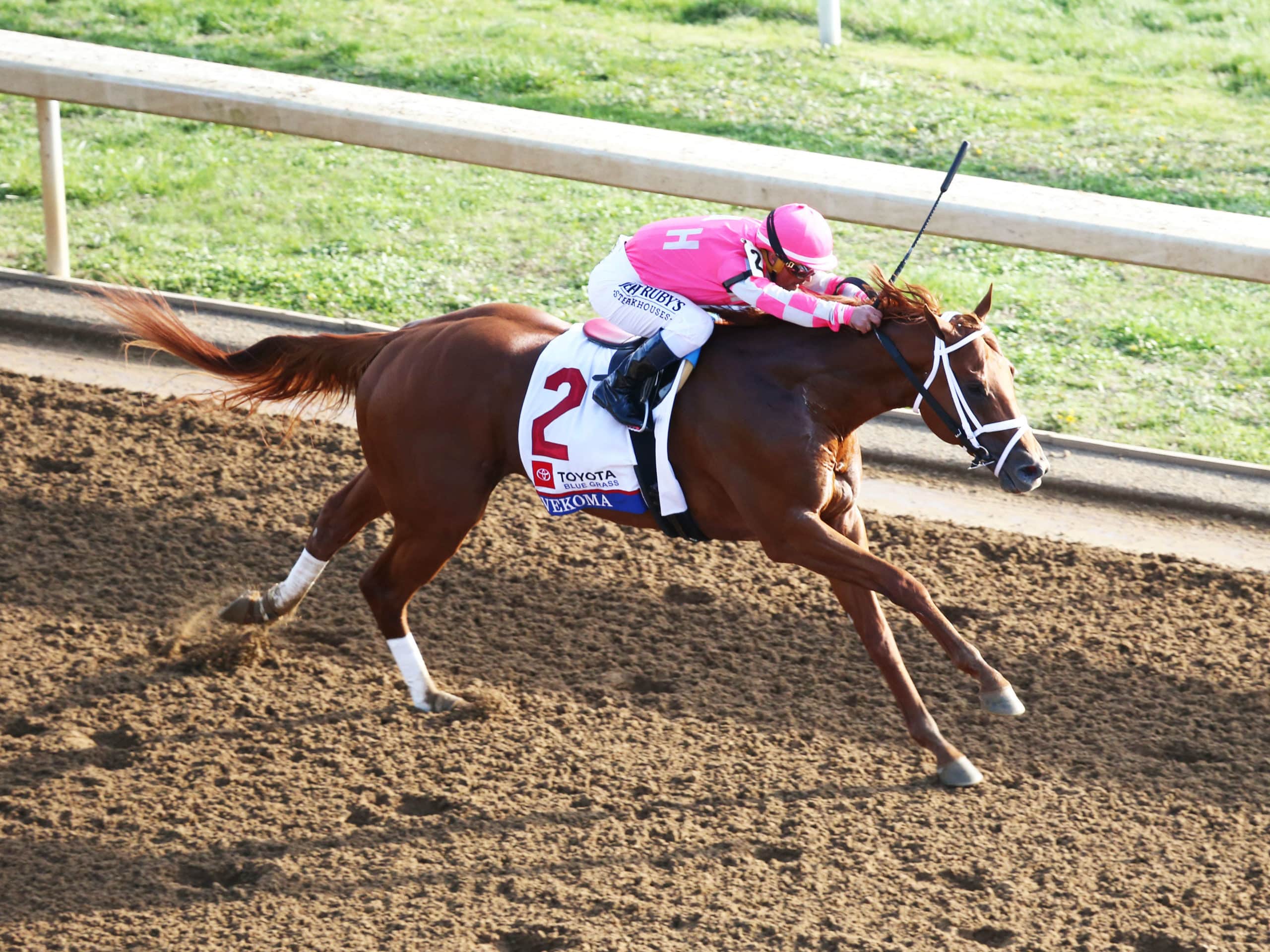 Vekoma nominated for Older Male and Male Sprinter Eclipse Awards ...