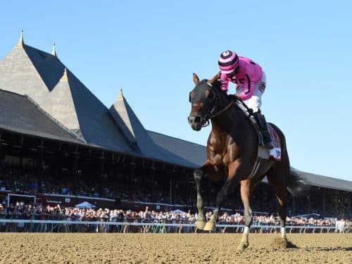 Gormley's High Oak magnificent in Saratoga Special S. (G2 ...