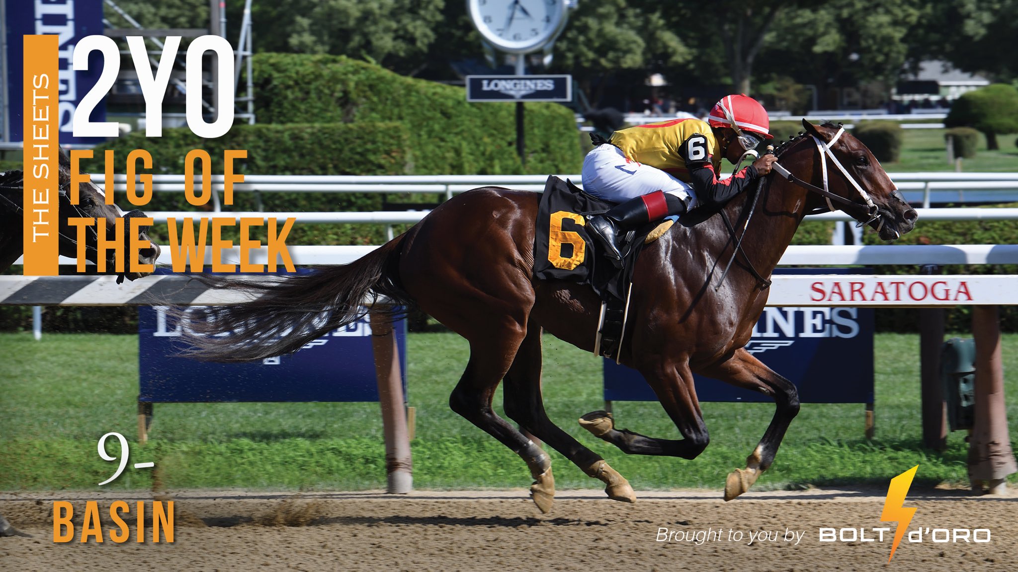 Basin - Thoroughbred Stallion at Spendthrift Farm, KY