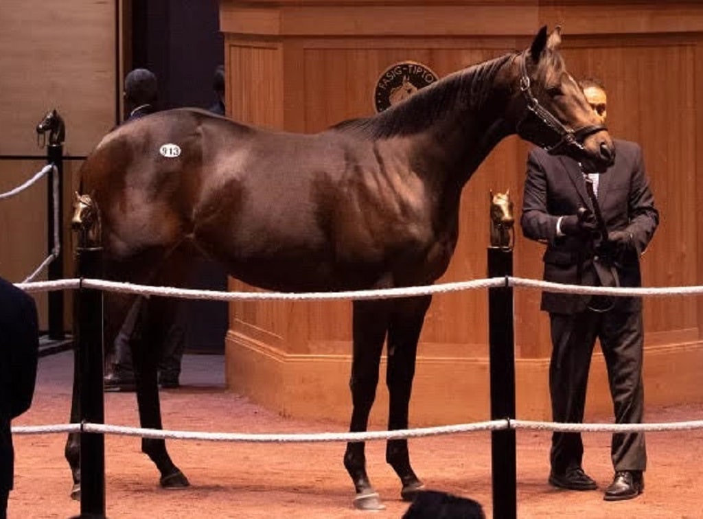 Mor Spirit makes his mark with $240K colt at Fasig-Tipton - Spendthrift ...