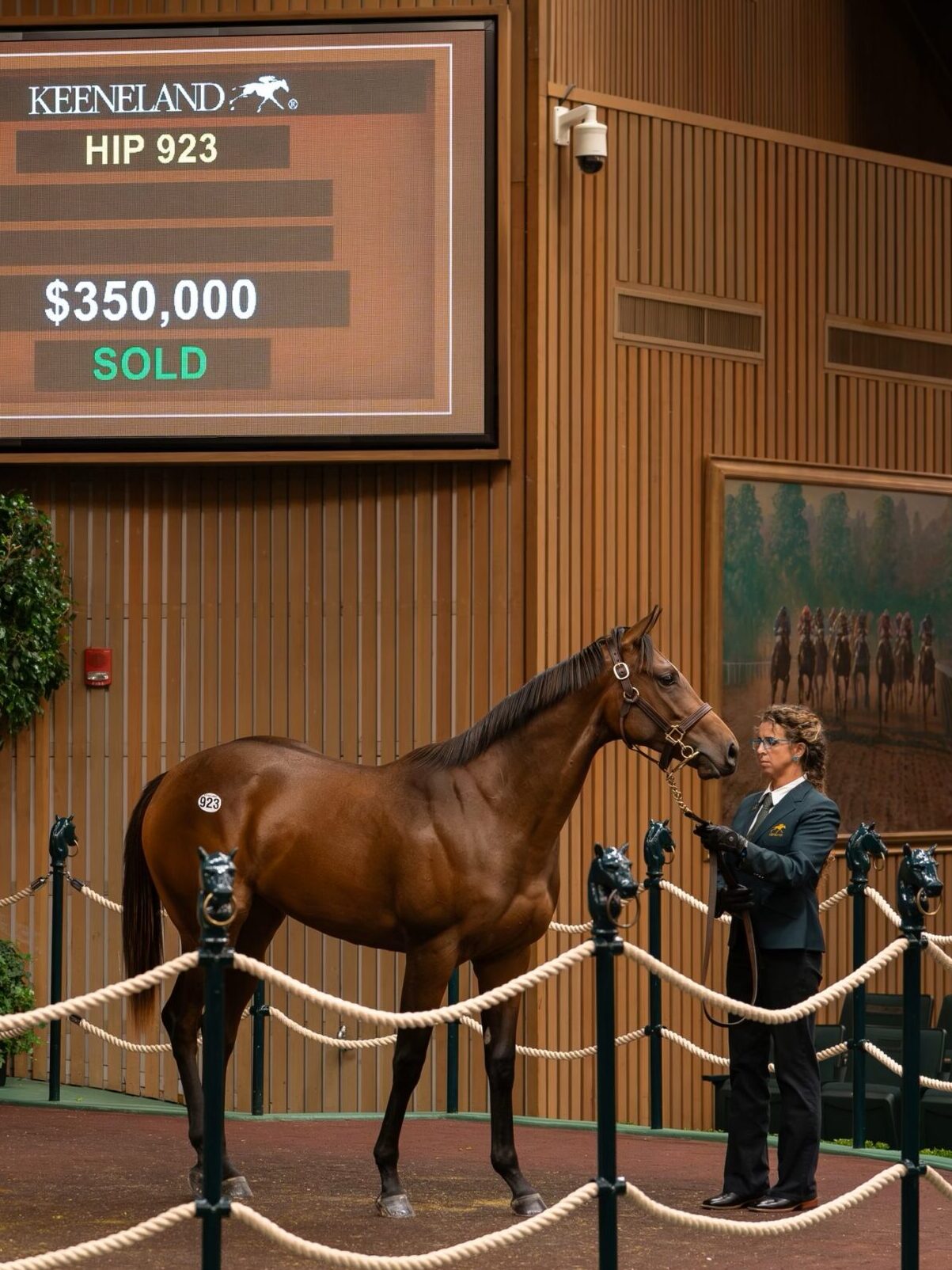 Yaupon - Thoroughbred Stallion at Spendthrift Farm, KY