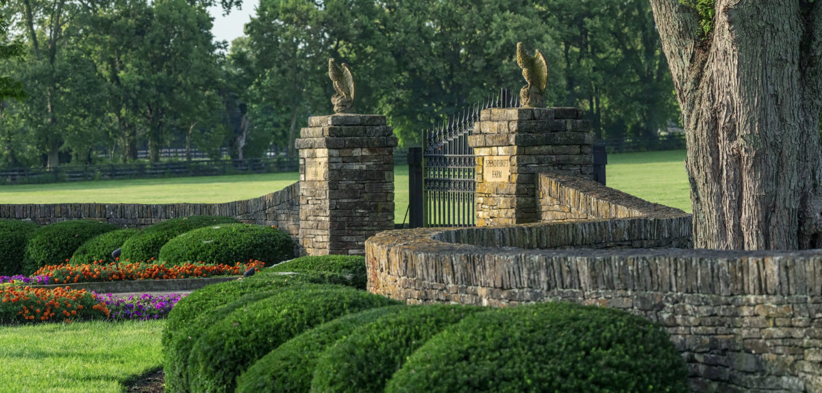 Visit - Spendthrift - A Kentucky Thoroughbred Stallion Farm