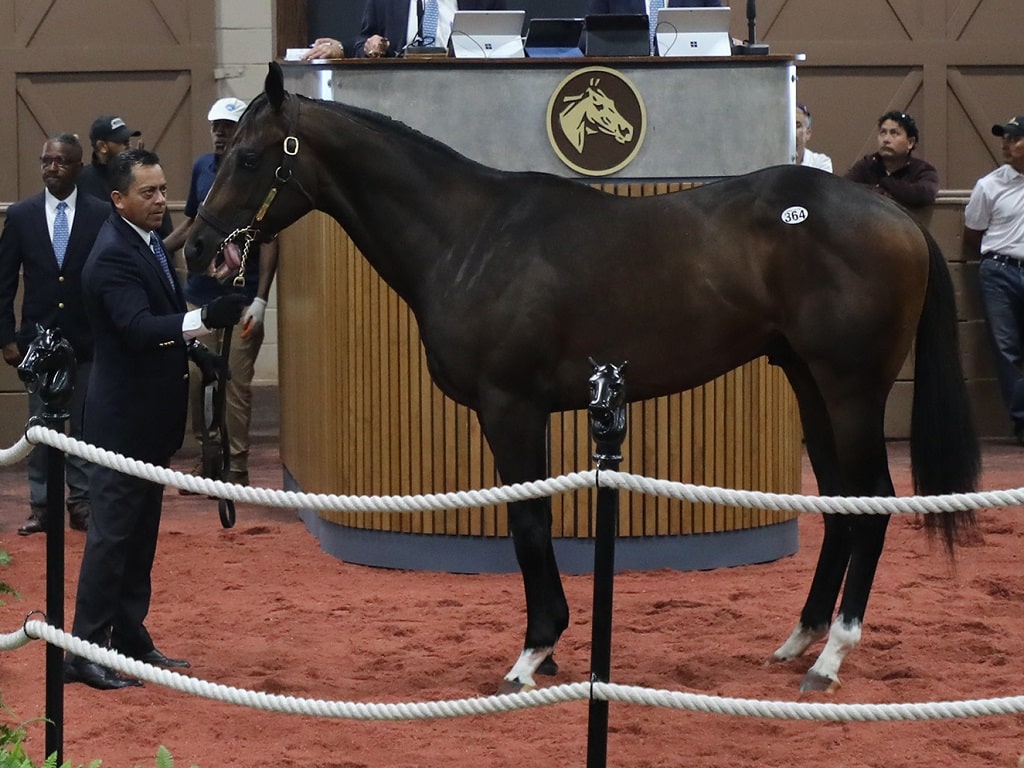 Red-hot Bolt d'Oro strikes again at F-T Midlantic sale with $500K colt ...