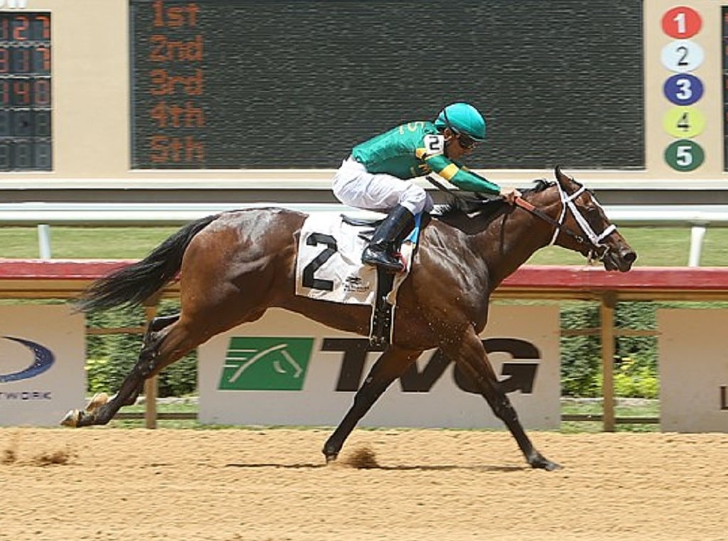 Free Drop Billy gets first stakes winner - Spendthrift - A Kentucky ...