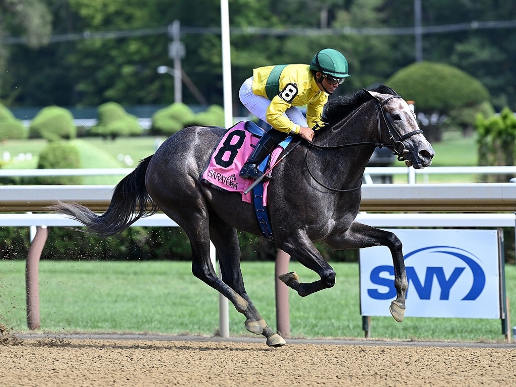 Undefeated Cross Traffic 2yo shines in stakes debut - Spendthrift - A ...