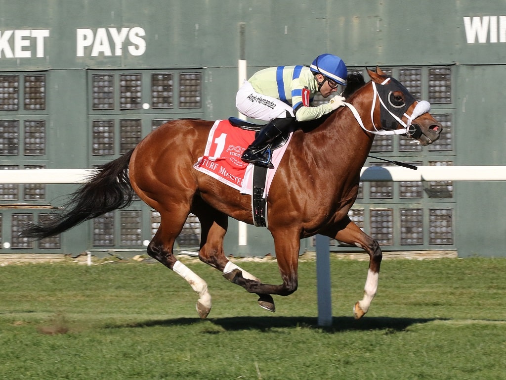 Goldencents colt earns first graded win in Turf Monster S. (G3 ...