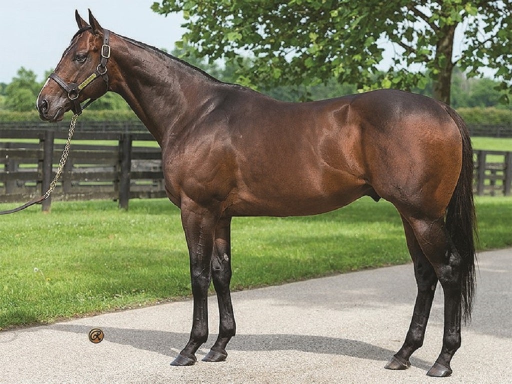 Reputation dominates Tyson Gilpin S. in black type debut - Spendthrift ...