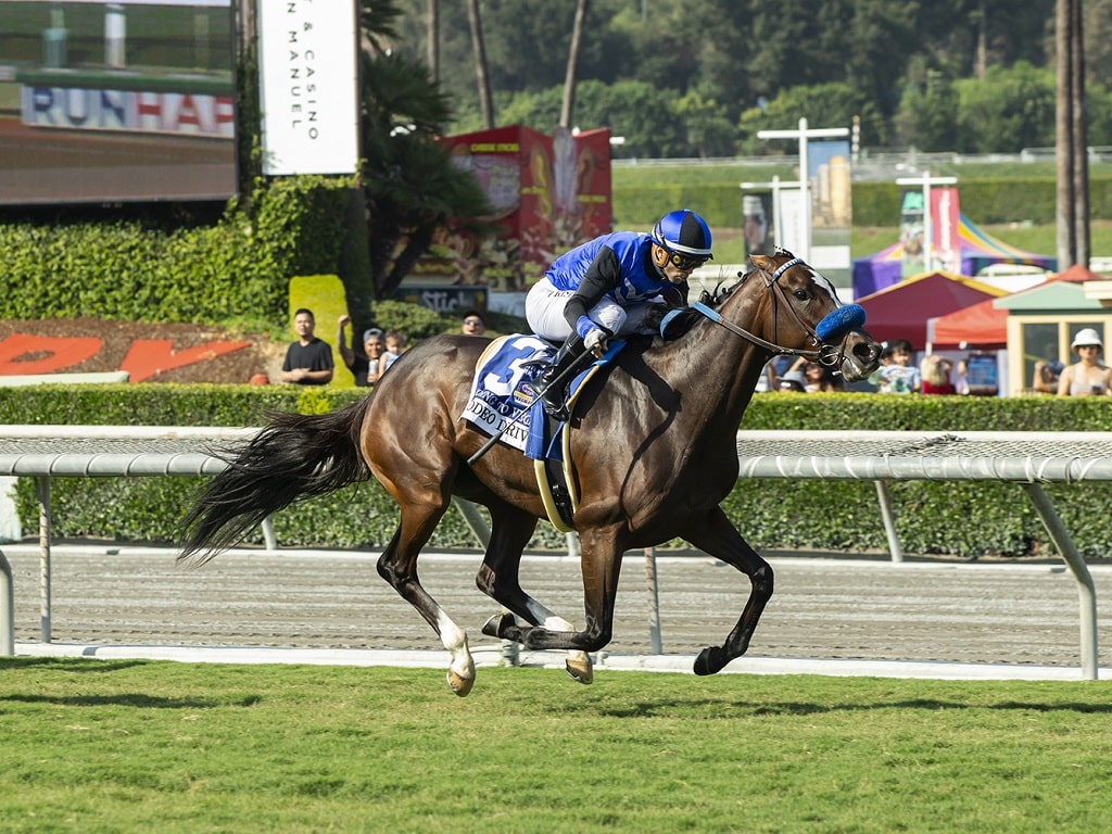 Goldencents' Going to Vegas captures Rodeo Drive S. (G1) for second ...